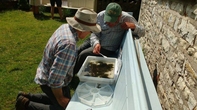 Riverfly Monitoring training 2017 - Bristol Avon Rivers Trust