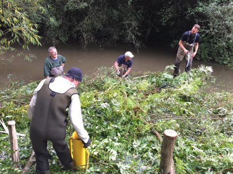 Bringing back curves to the River Biss - Bristol Avon Rivers Trust