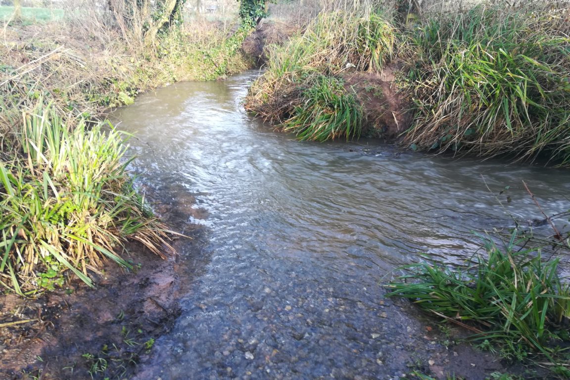 Bristol Avon River Projects - Bristol Avon Rivers Trust