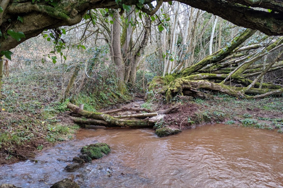 Bristol Avon River Projects - Bristol Avon Rivers Trust