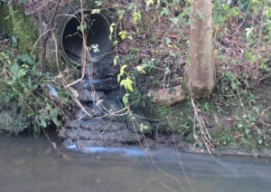 Bristol Avon Rivers Trust - Education, Land and River Management Advice