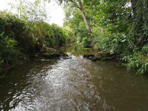 River Restoration Services - River Restoration - Bristol Avon Rivers Trust