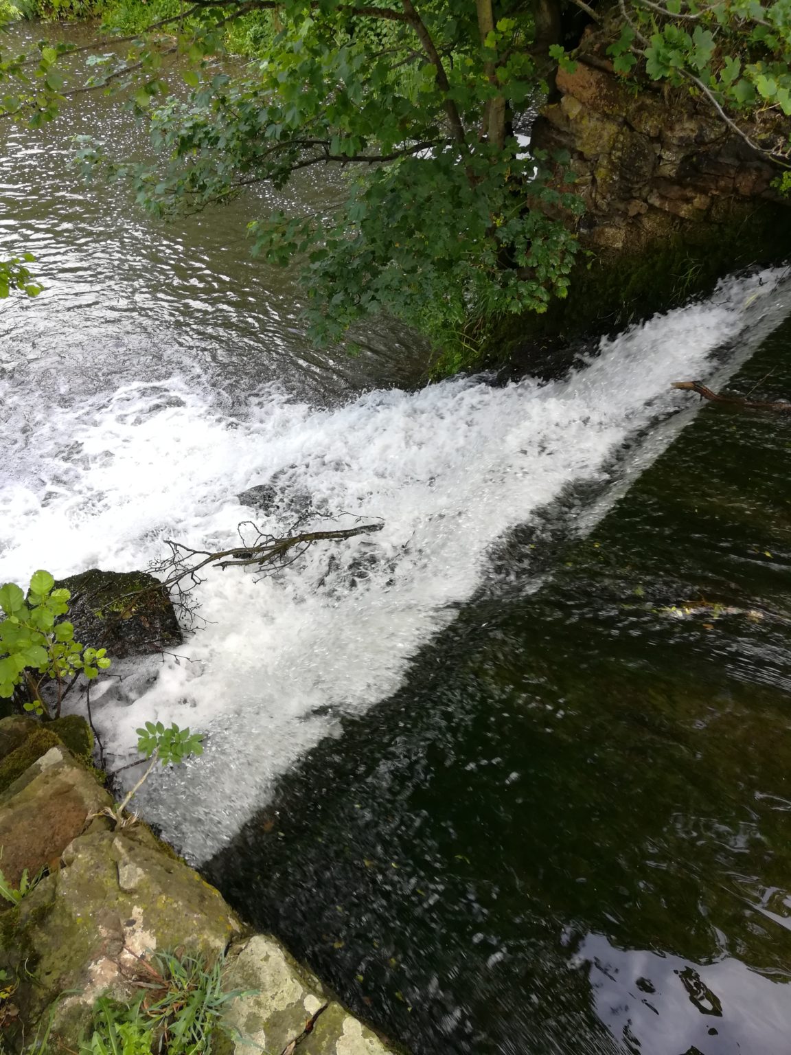River Chew Fisheries Improvement Project - Bristol Avon Rivers Trust