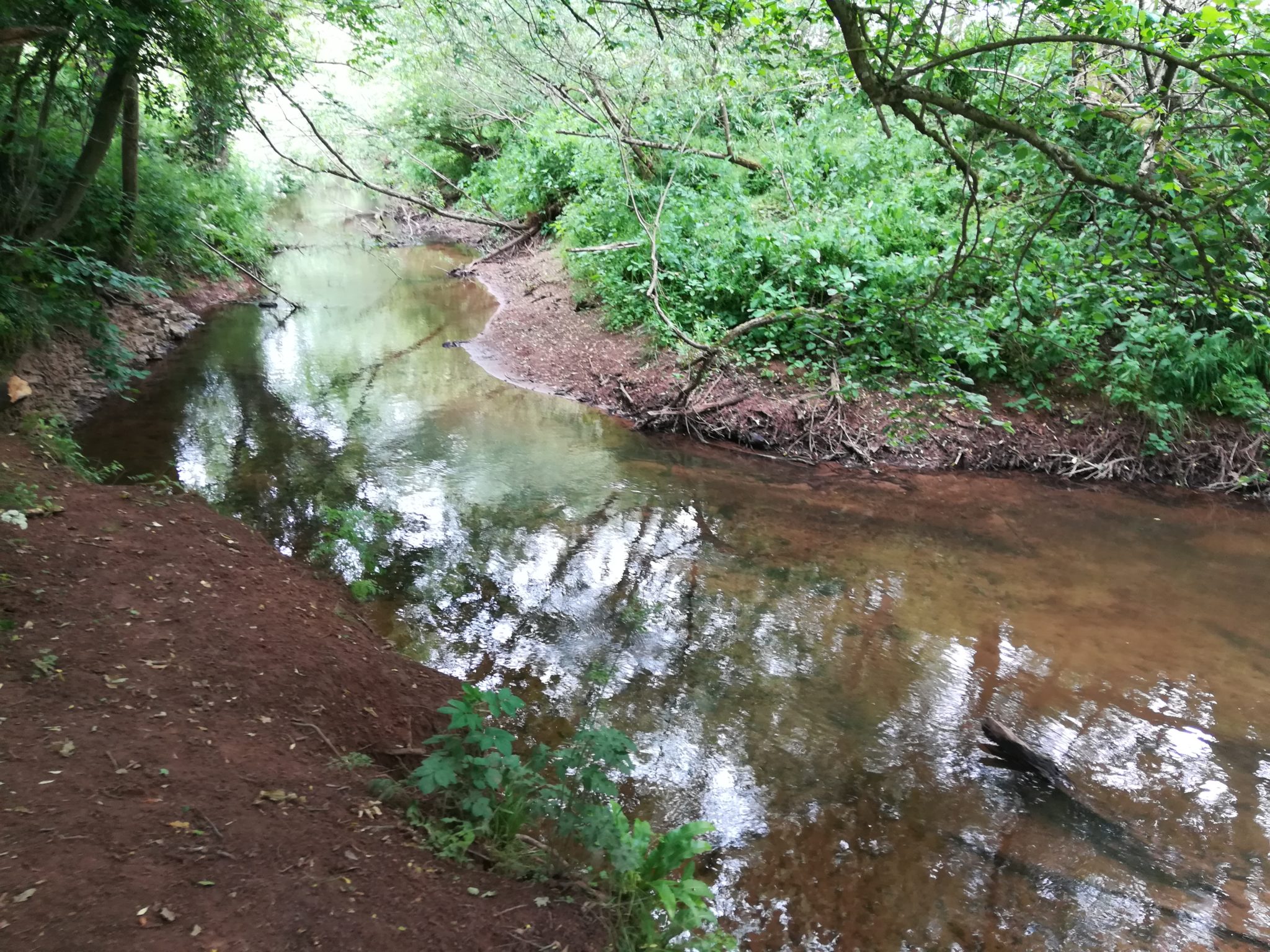 River Chew Fisheries Improvement Project - Bristol Avon Rivers Trust