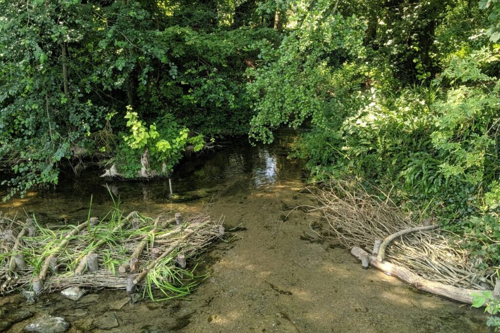 Bristol Avon River Projects - Bristol Avon Rivers Trust