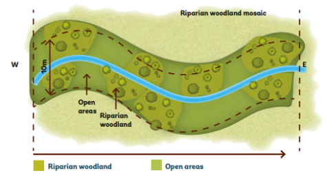 Tree Planting - Bristol Avon Rivers Trust