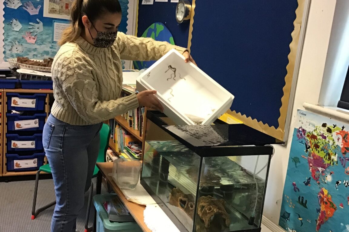 Bristol Avon River Projects - Bristol Avon Rivers Trust