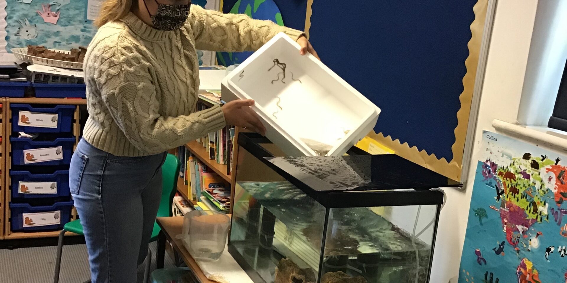 Eels are back in the classroom! - Bristol Avon Rivers Trust