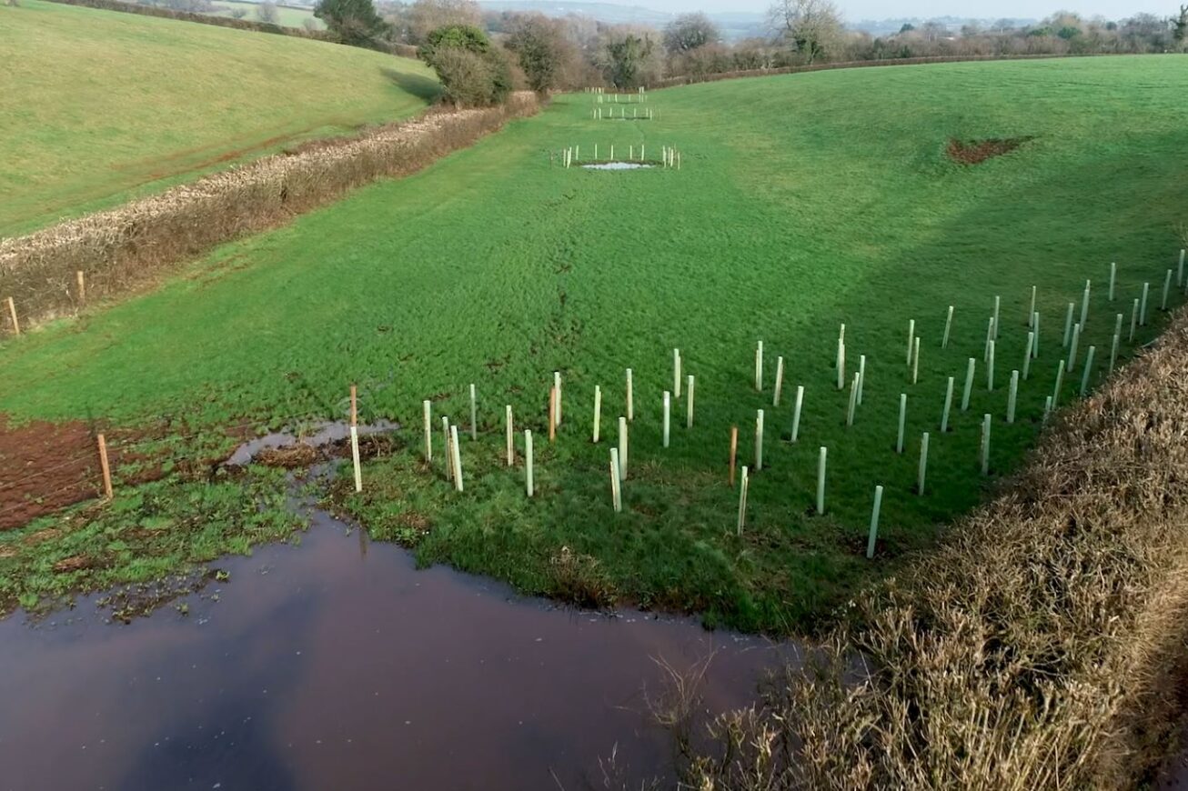 Bristol Avon Newsletters - Bristol Avon Rivers Trust