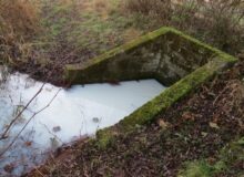 American signal crayfish - the law - Bristol Avon Rivers Trust