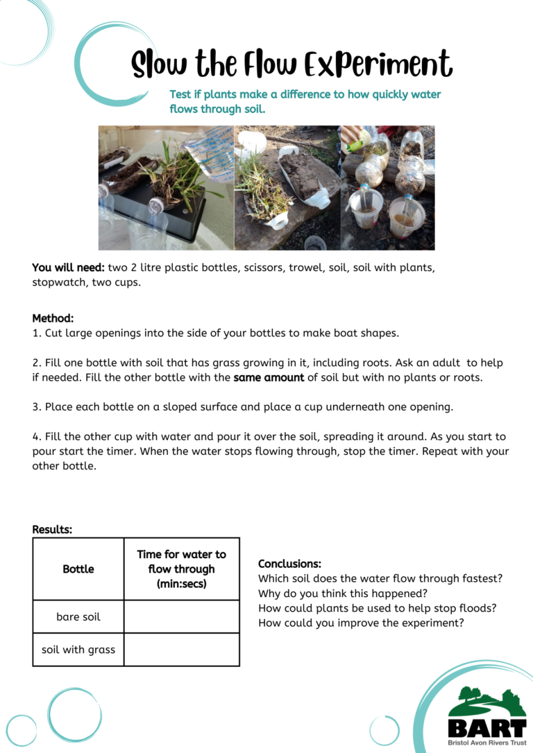 Investigate how much plants slow the flow