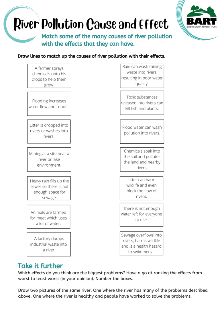 Pollution cause and effect activity for KS1 and KS2