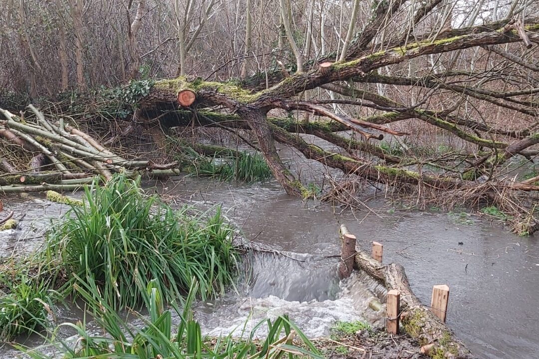 Bristol Avon River Projects - Bristol Avon Rivers Trust