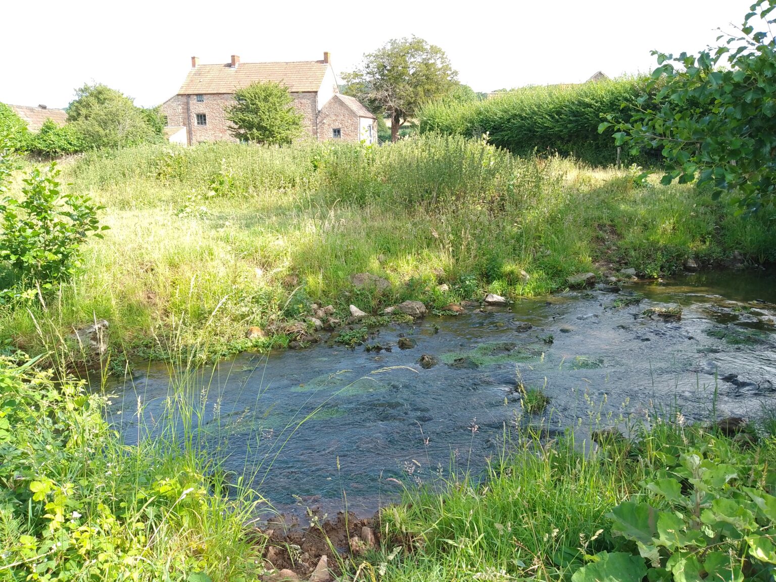 Bristol Avon Rivers Trust : Impact 2023 - Bristol Avon Rivers Trust