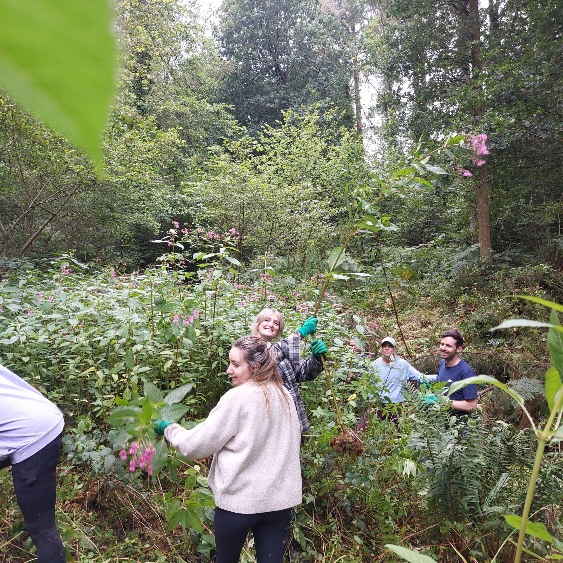 Environmental Team Building Experiences - Corporate volunteering