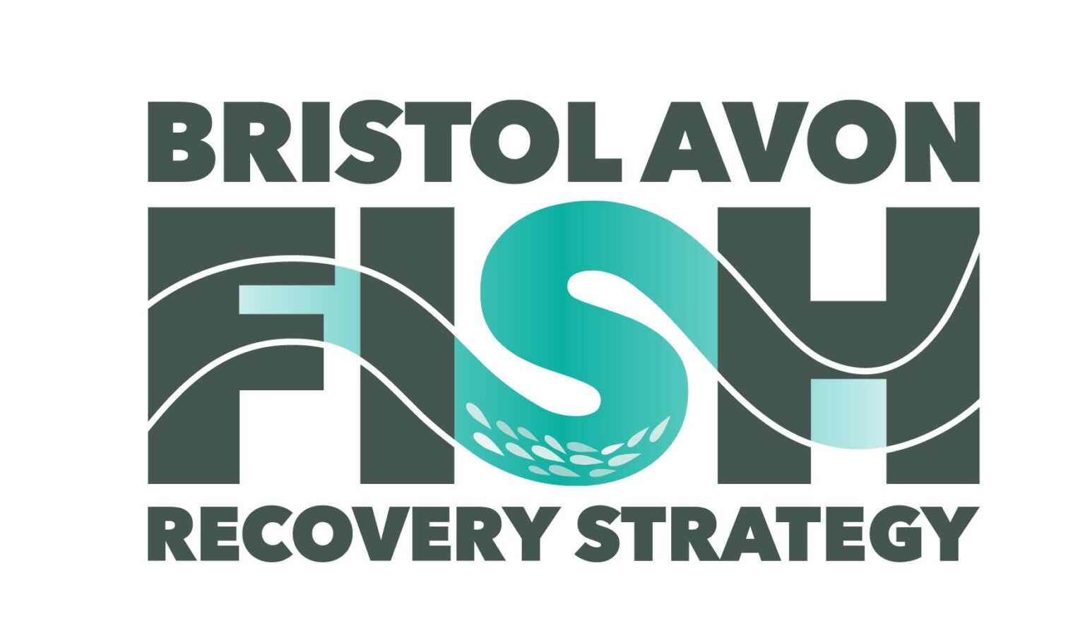 The Bristol Avon Fish Recovery Strategy is here!