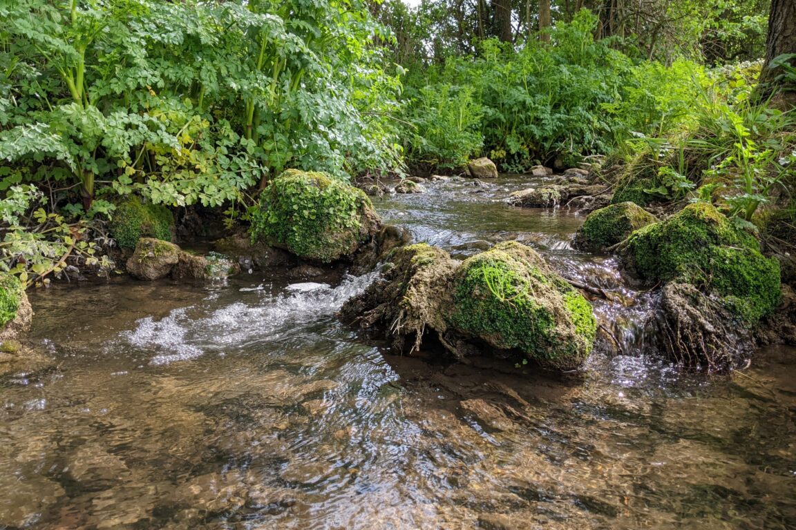 Bristol Avon River Projects - Bristol Avon Rivers Trust