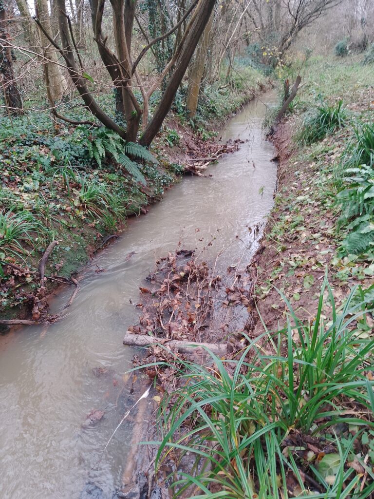 Working to restore Pickedmoor Rhine