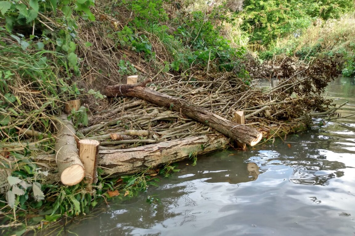 Bristol Avon River Projects - Bristol Avon Rivers Trust