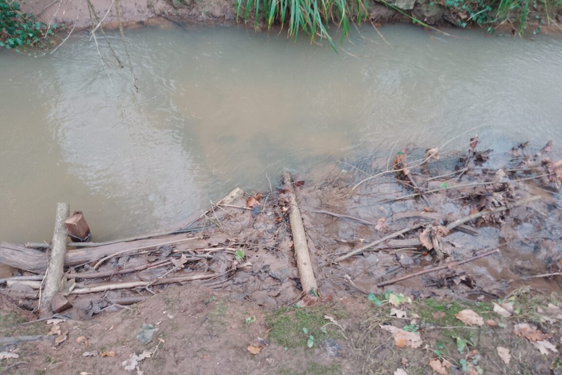 Bristol Avon Rivers Trust - Education, Land and River Management Advice