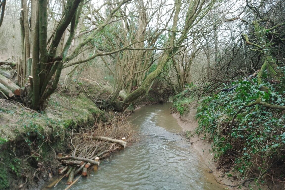 Bristol Avon Rivers Trust - Education, Land and River Management Advice