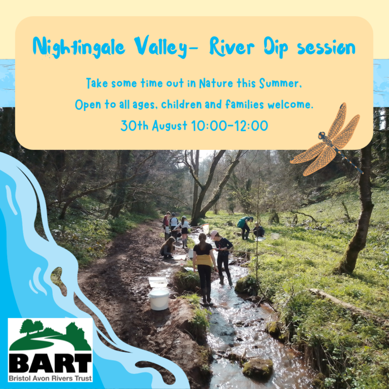 Nightingale Valley River Dip - Bristol Avon Rivers Trust