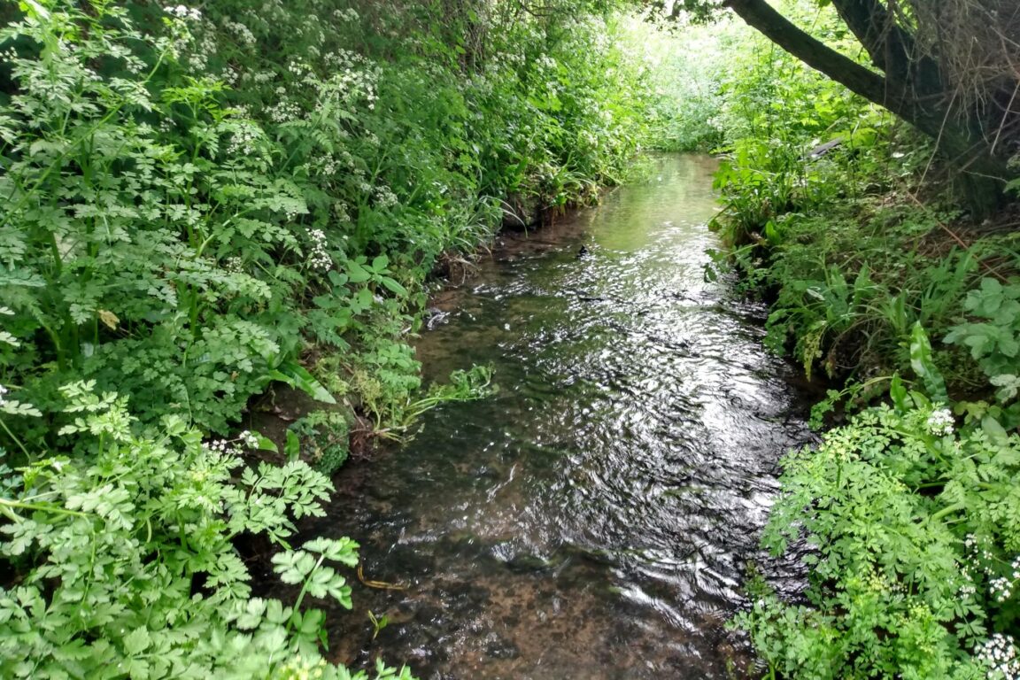 Bristol Avon Rivers Trust - Education, Land and River Management Advice