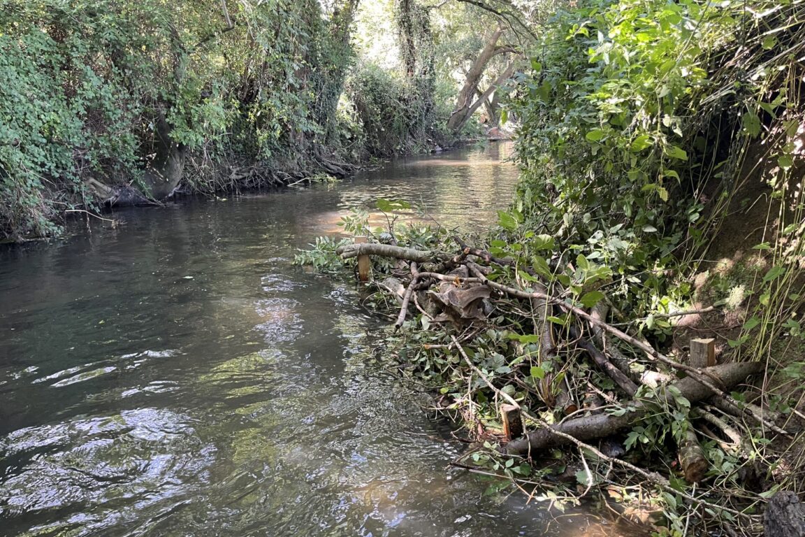 Bristol Avon Rivers Trust - Education, Land and River Management Advice