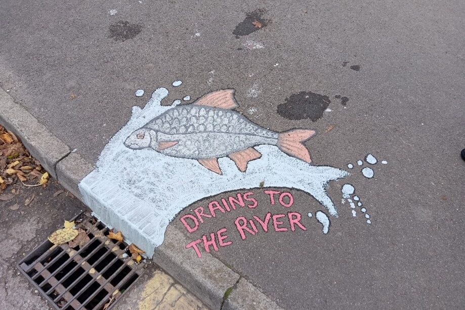 Bristol Avon Rivers Trust - Education, Land and River Management Advice