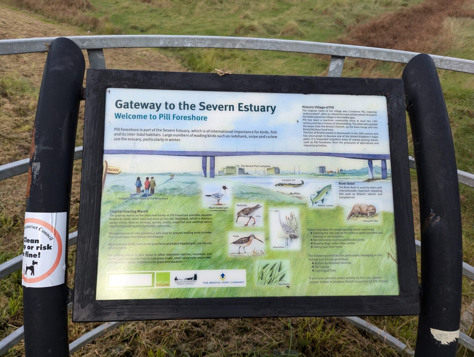 How Estuaries Support Fish Life: Insights from the Severn Estuary ...