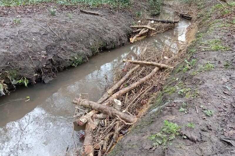 Bristol Avon Rivers Trust - Education, Land and River Management Advice