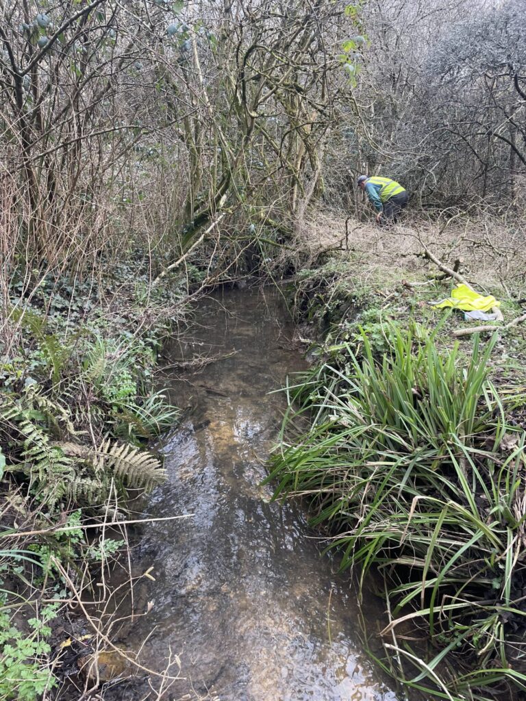 Working to Restore Bristol Frome Tributaries