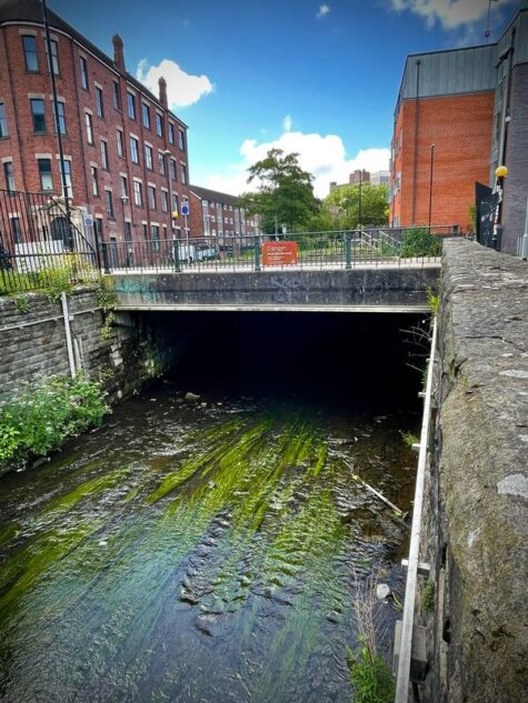 Walk Bristol's Secret River - Bristol Avon Rivers Trust